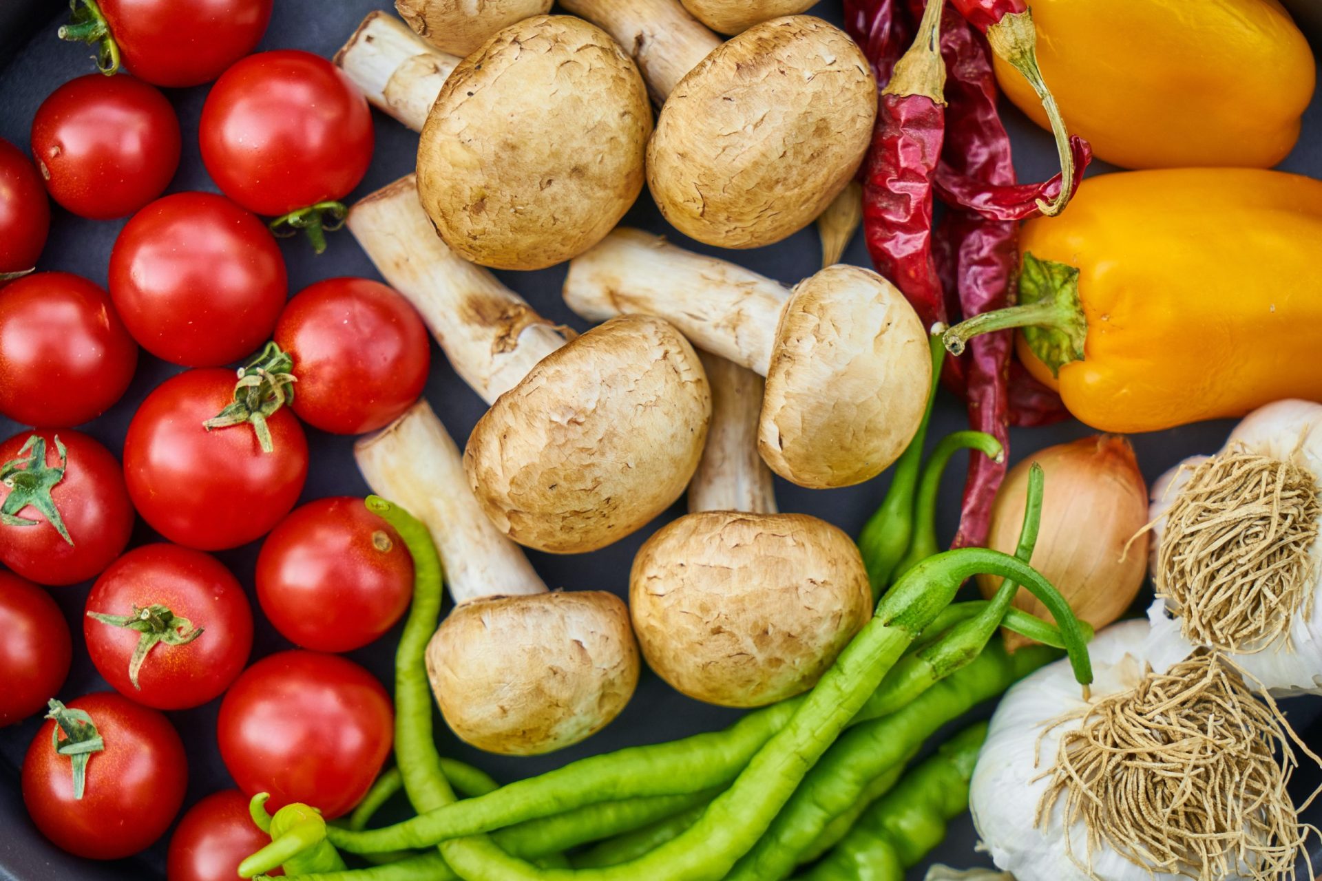 Best 66 Farming Business Ideas For 2023 MUVSI Best 66 Farming Business Ideas For 2023 MUVSI